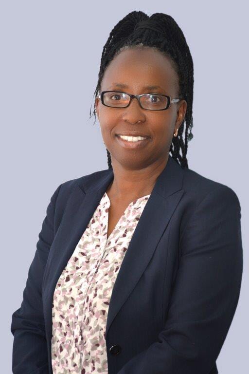 The Board - Kentours